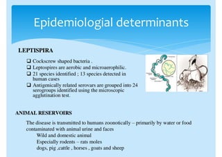 Water borne Pathogen-Leptospira and their disease cycle.pdf