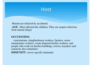 Water borne Pathogen-Leptospira and their disease cycle.pdf