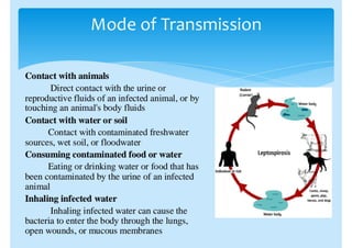 Water borne Pathogen-Leptospira and their disease cycle.pdf