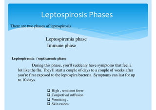 Water borne Pathogen-Leptospira and their disease cycle.pdf