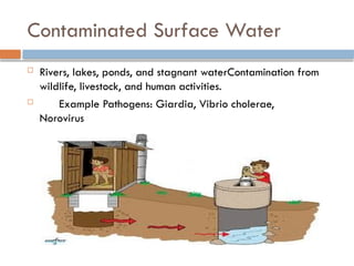 Water borne Pathogens in fresh water system | PPTX