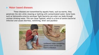 WATER BORNE DISEASES BY RAGHAV U V PPT.pptx