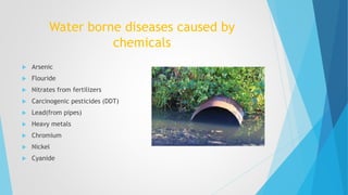 WATER BORNE DISEASES BY RAGHAV U V PPT.pptx | Infectious Diseases ...