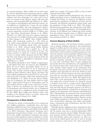 Water Buffalo Review Feb 14, 2019 | PDF