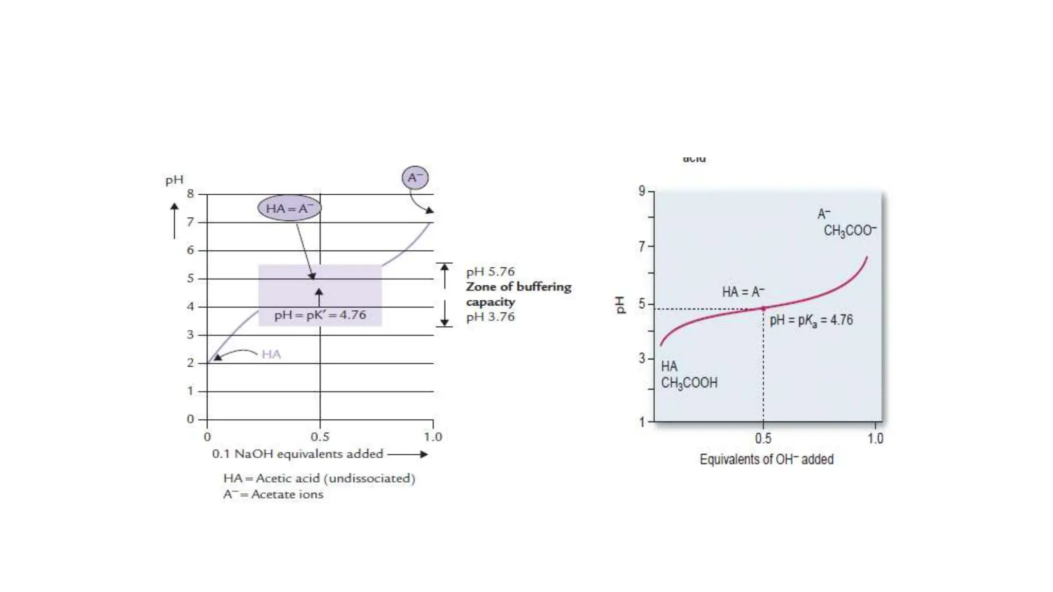 water, buffer system in human body and pH.pptx