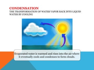 Water cycle | PPT