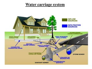 Water carriage system | PPTX