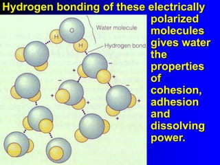 Water Chemistry.ppt