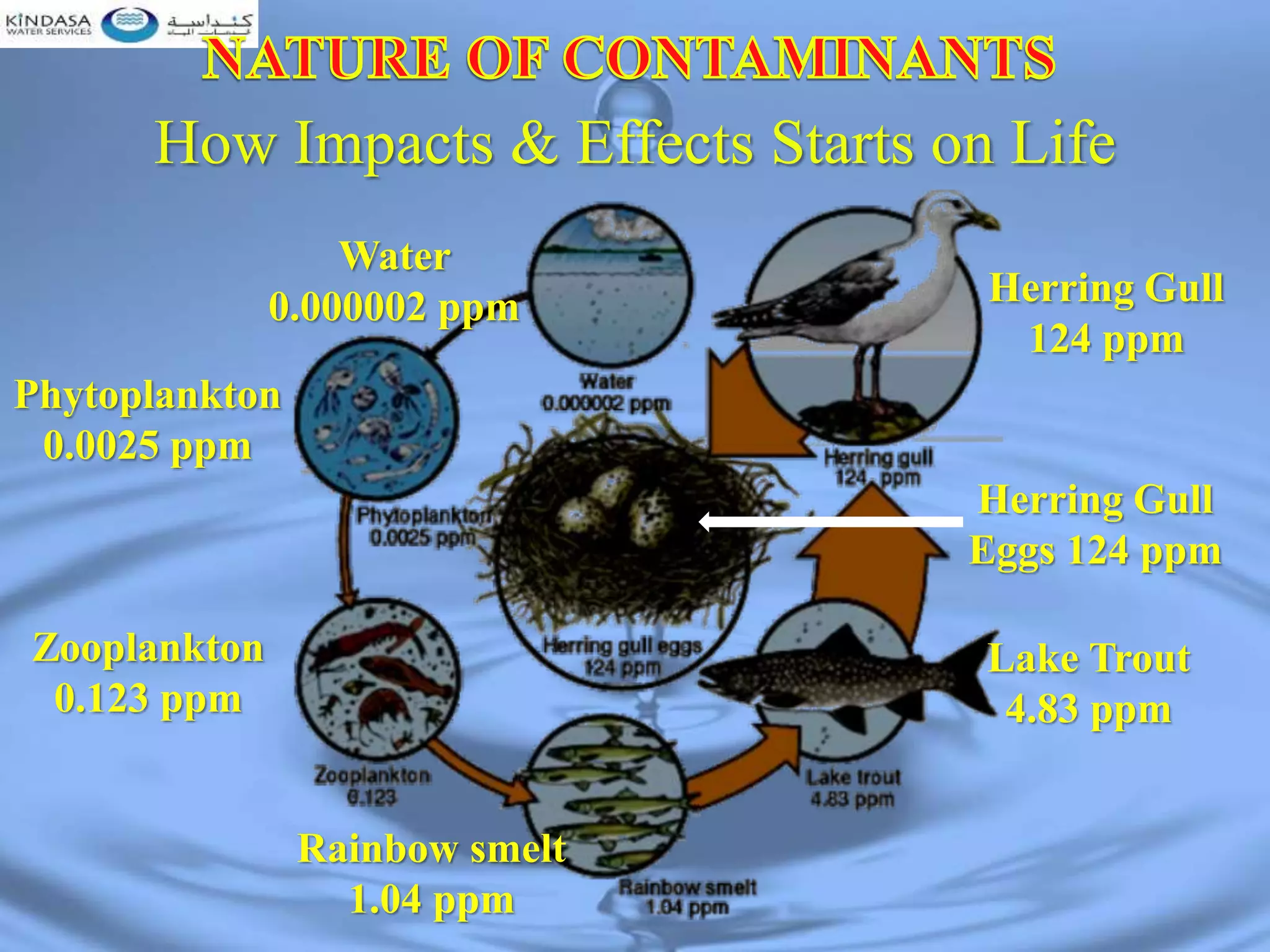 Water chemistry for kindasa final ii | PPT