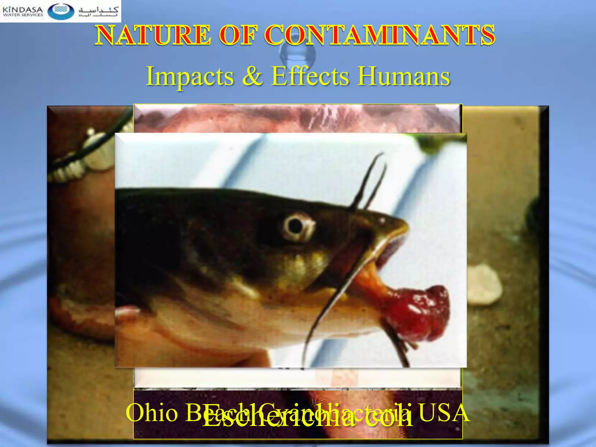 Water chemistry for kindasa final ii | PPT