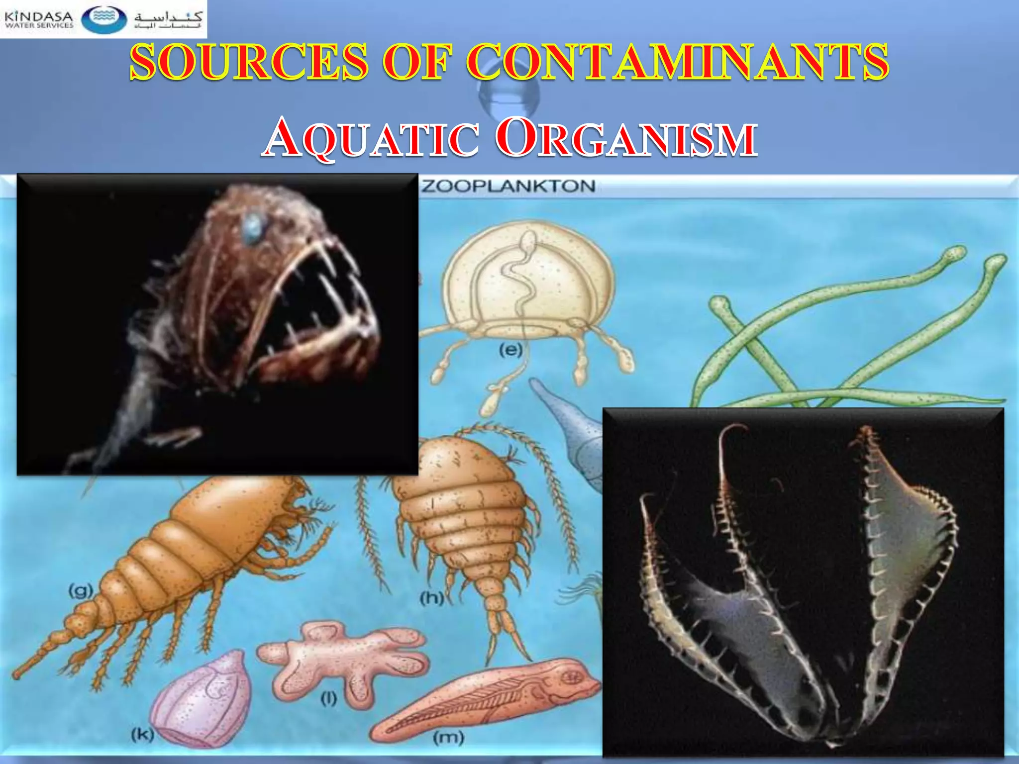 Water chemistry for kindasa final ii | PPT