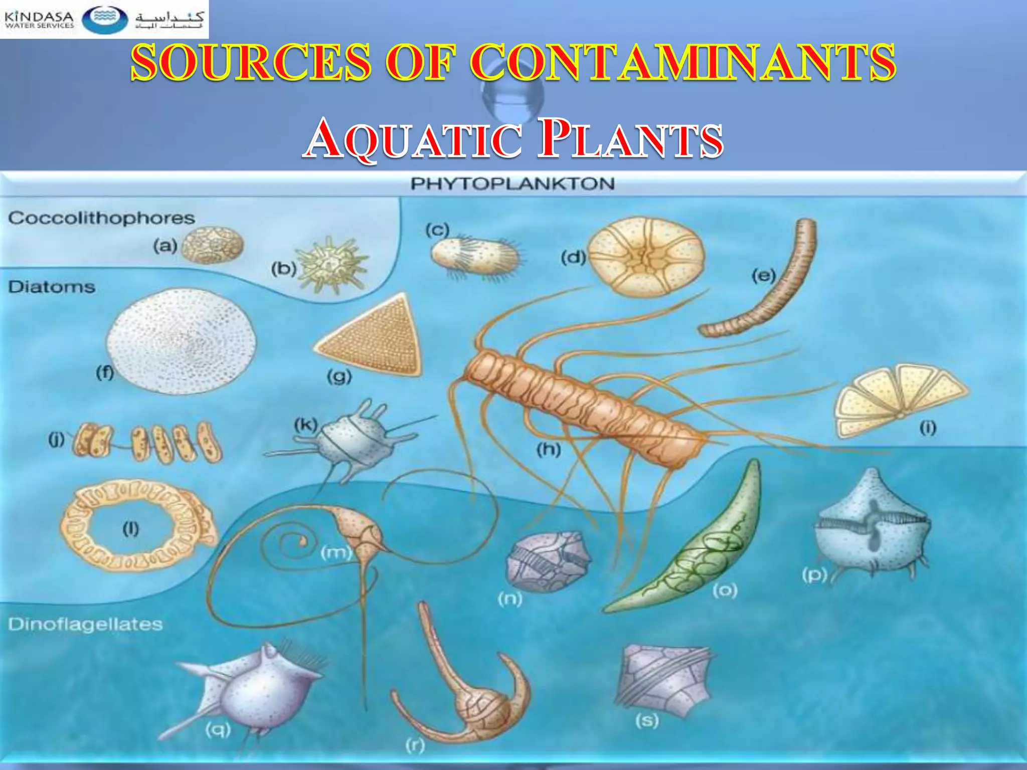 Water chemistry for kindasa final ii | PPT