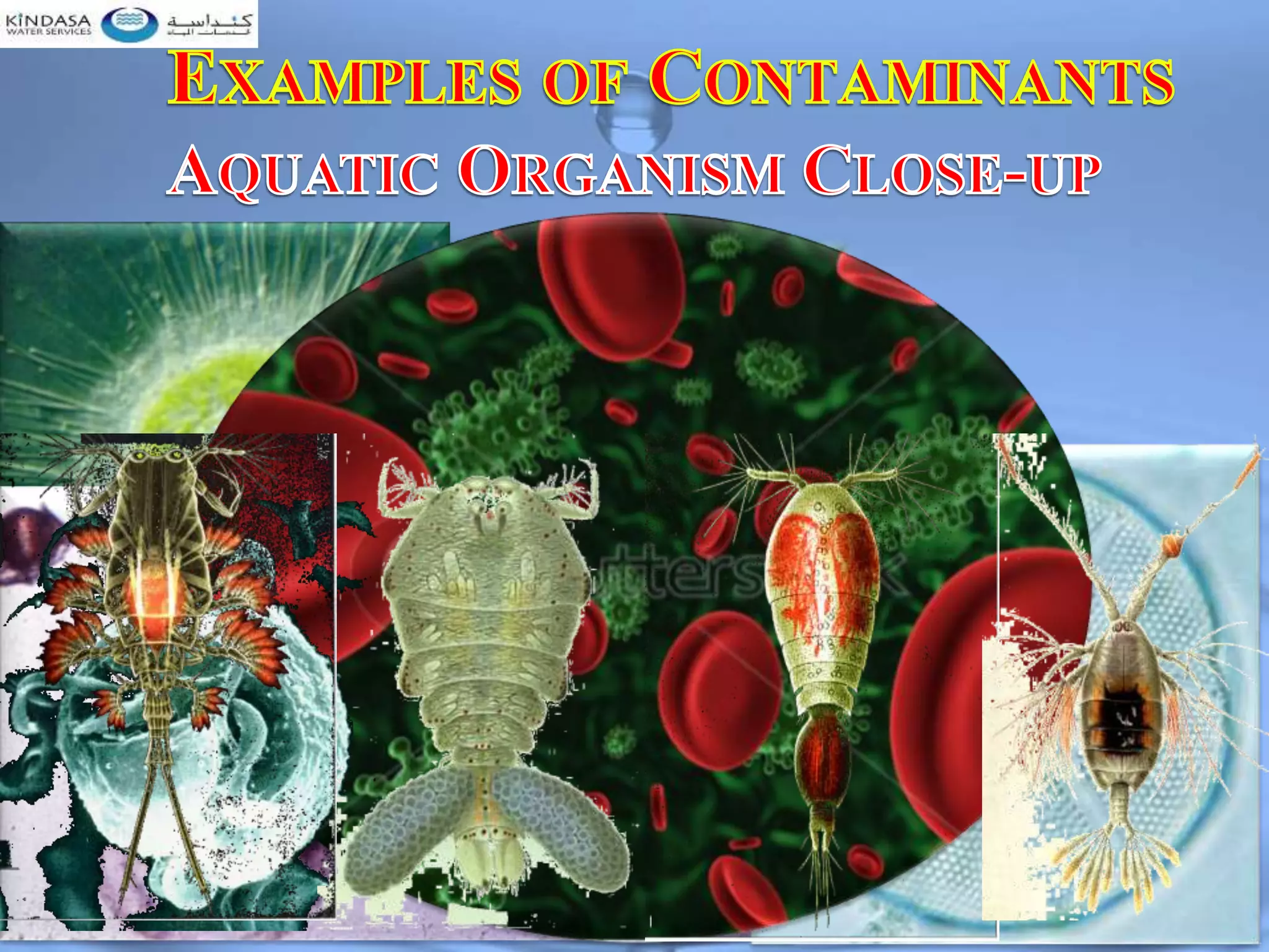 Water chemistry for kindasa final ii | PPT