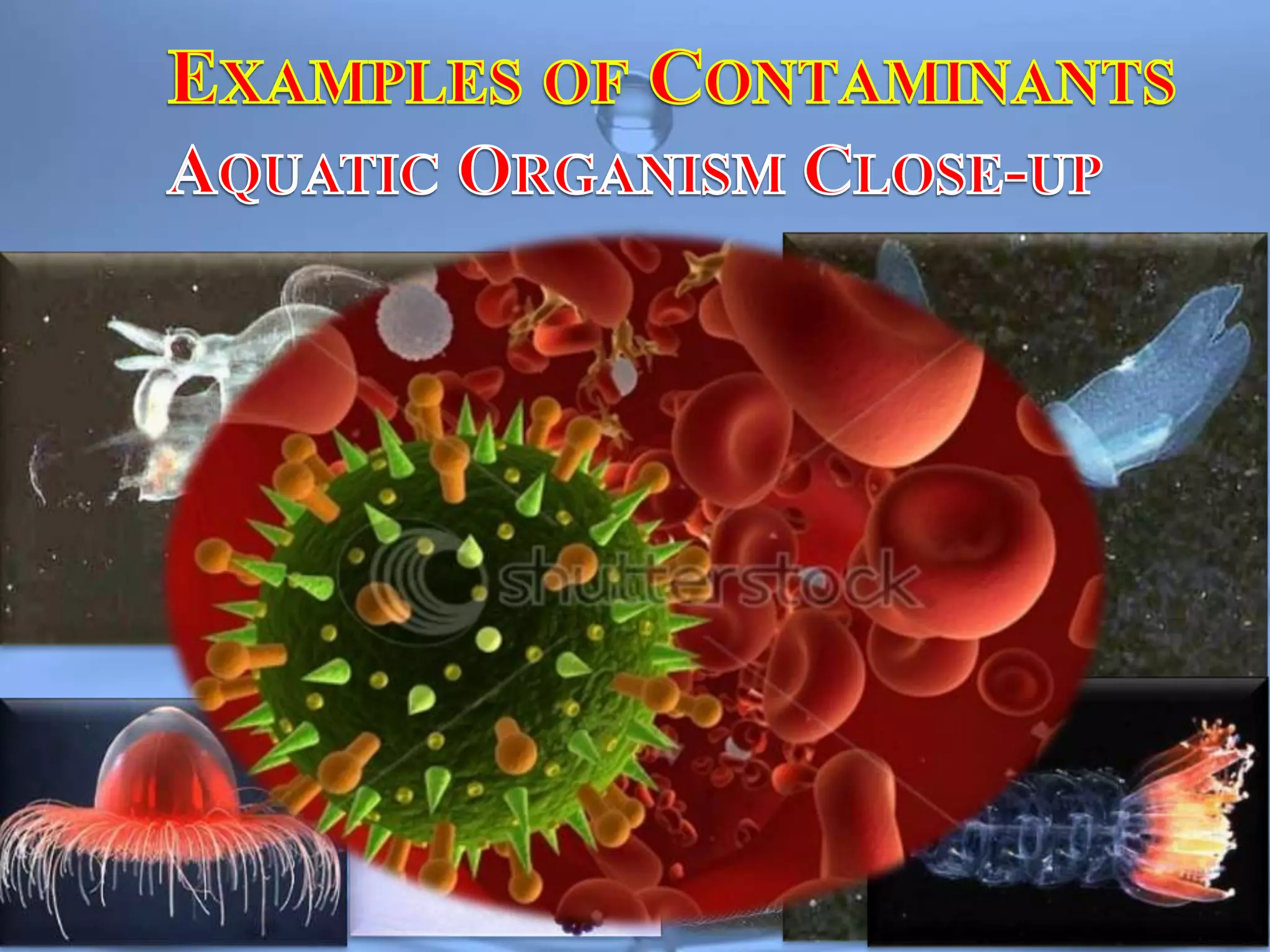 Water chemistry for kindasa final ii | PPT