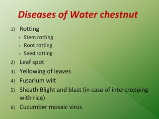 disease management in water chestnut ppt ani._092821.pptx