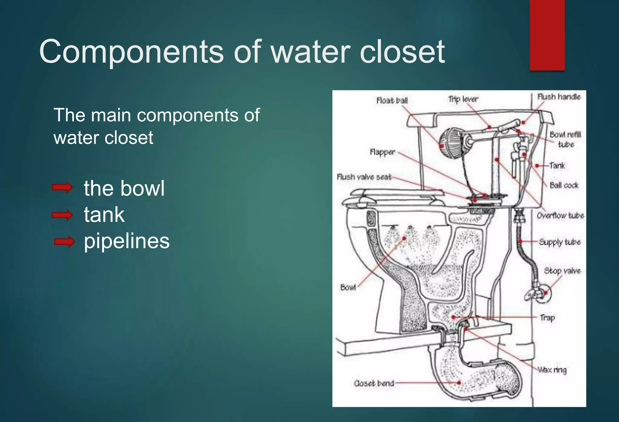 Water closets and urinals | PPTX