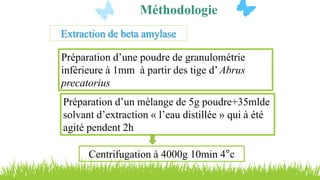 extraction of enzyme B amylase from plant arbus precatarius