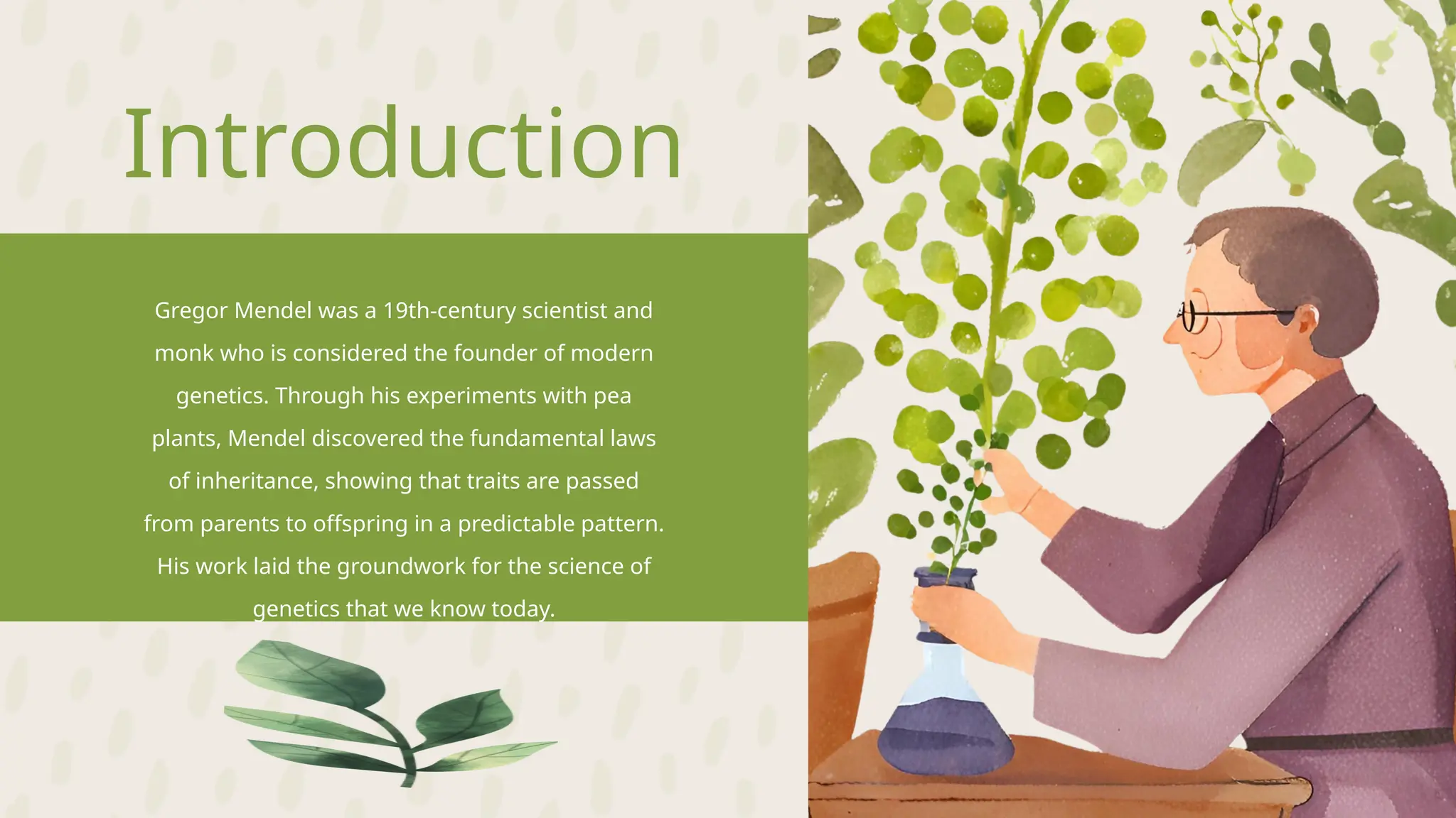 Watercolor Illustrated Mendel Genetics Slides.pptx