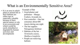 Sustainable Water Management in Cascade System: A model in ...