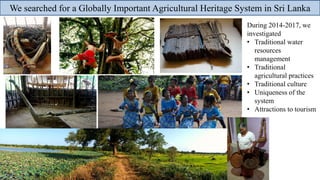 Sustainable Water Management in Cascade System: A model in Environmentally Sensitive Area | PDF