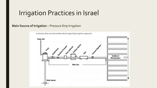 Water conservation | PPTX