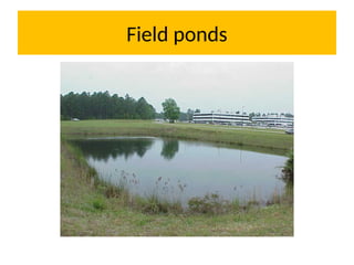 Water Conservation, Rain water harvesting, Gr. water hydrology | PPTX