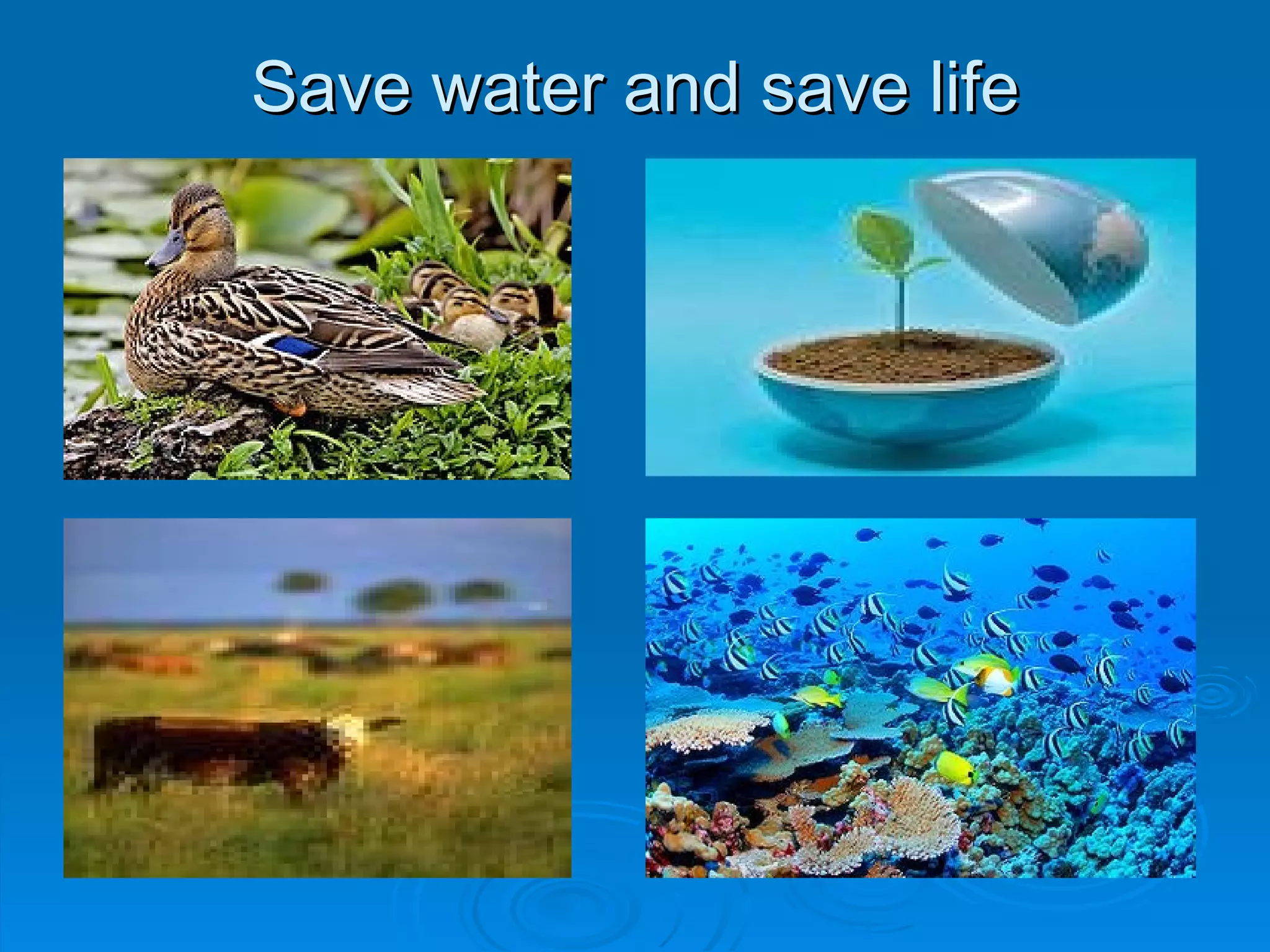 Water, Conservation & Management | PPT