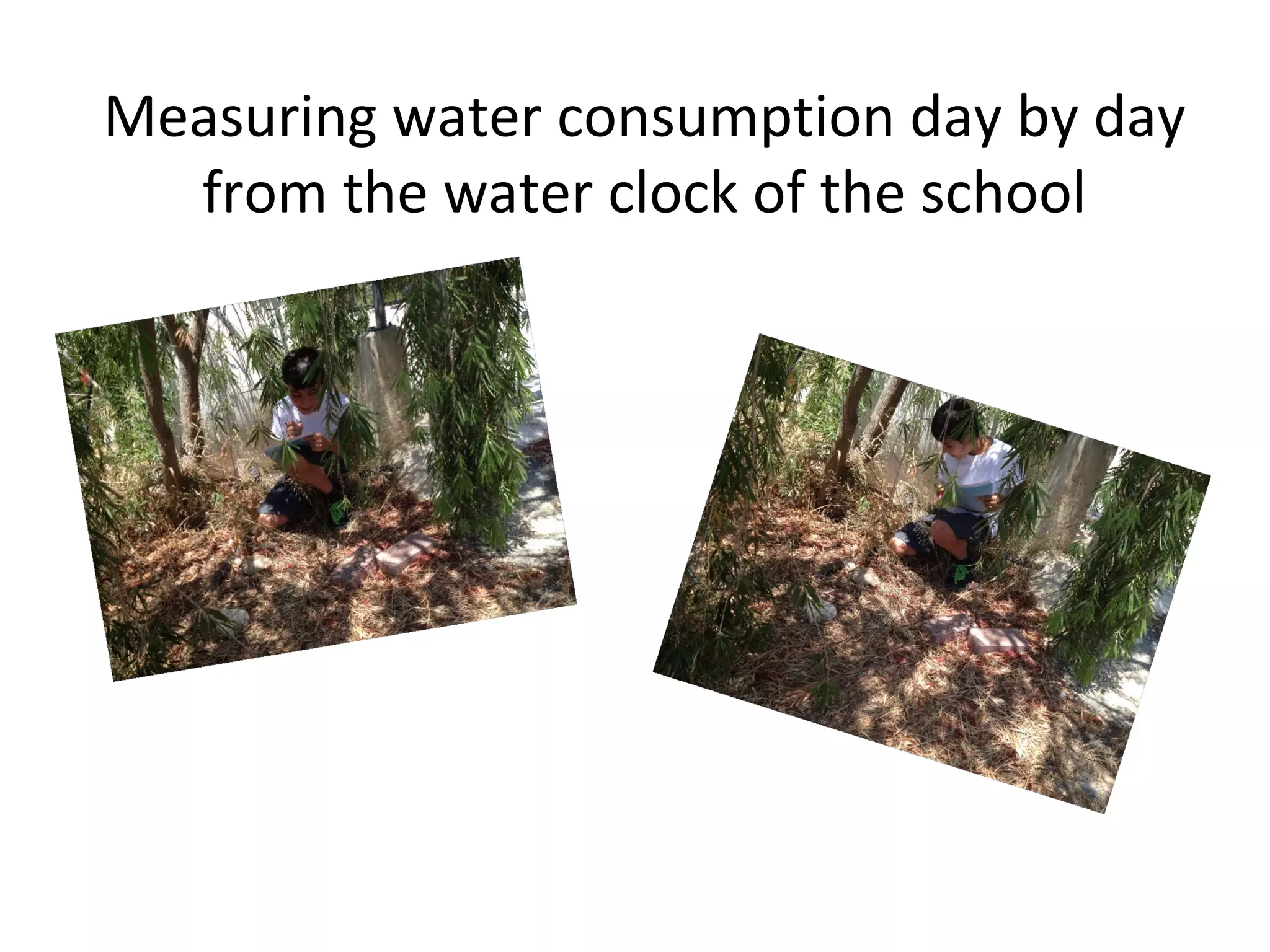 Water consumption | PPT