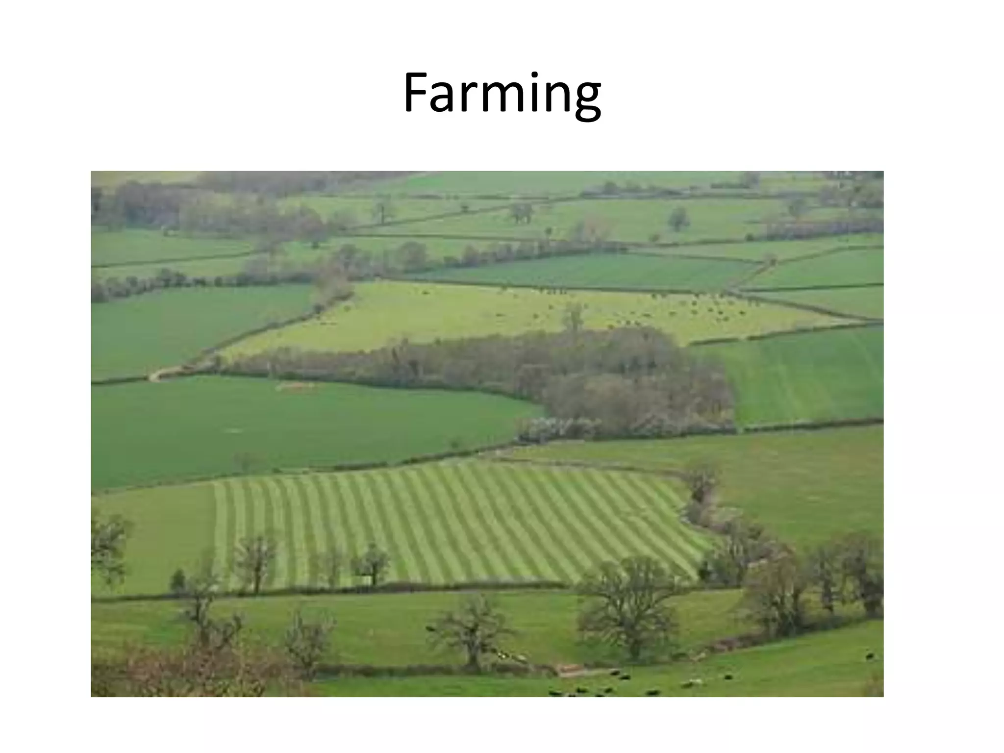 Water consumption pattern | PPTX