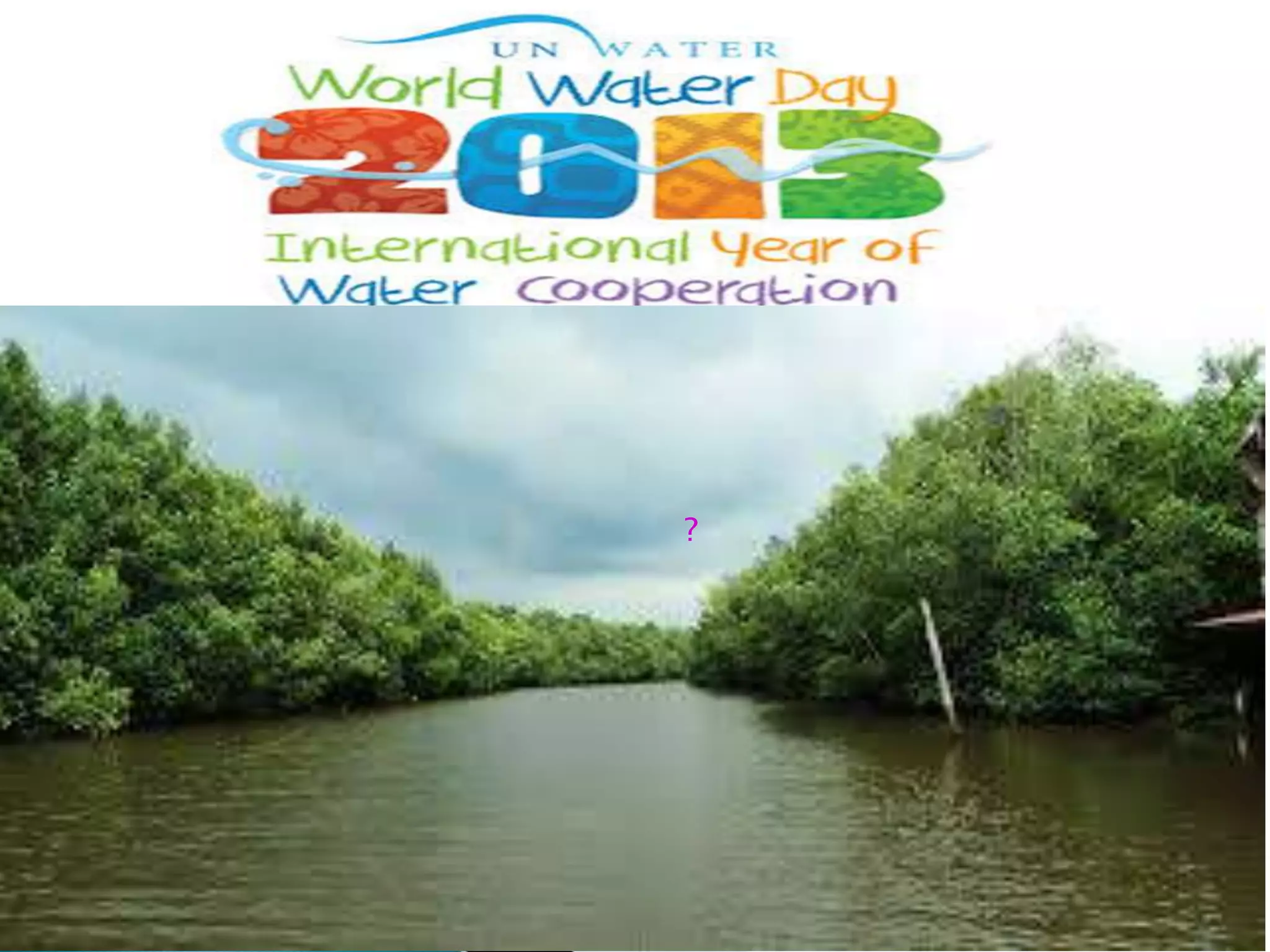 Water cooperation issues and challenges | PPTX