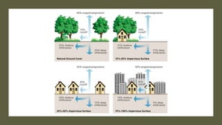 Water conservation & water management | PPTX
