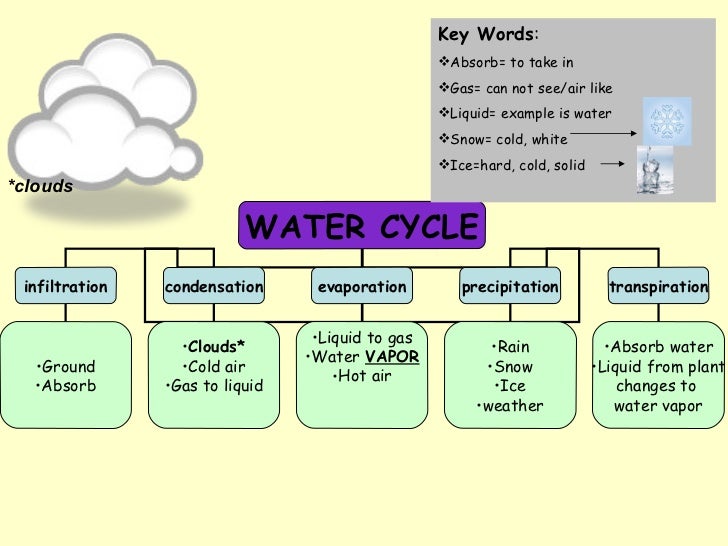 The Water Cycle Water Cycle key words The Hydrologic Cycle with arrows ...