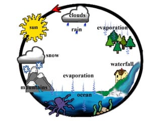 Water cycle | PPT
