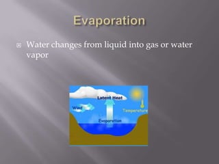 Water cycle | PPTX | Chemistry | Science