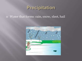 Water cycle | PPTX | Chemistry | Science