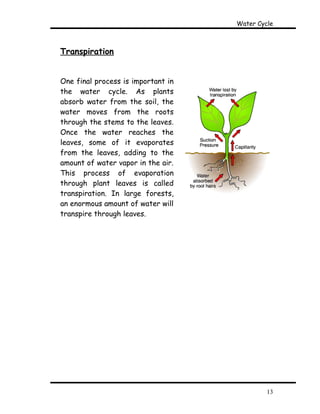 Water cycle | DOC