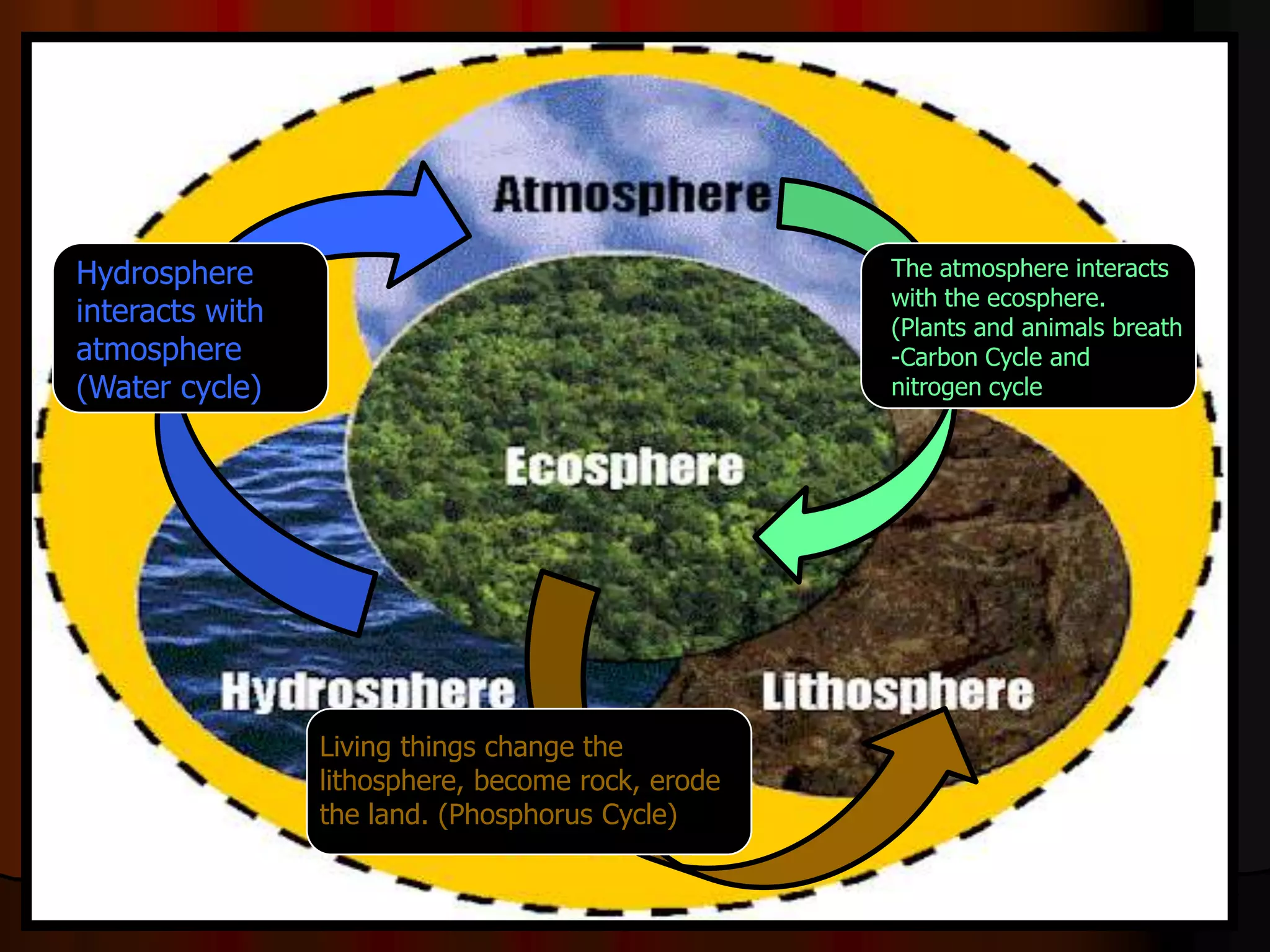 Water Cycle Lesson PowerPoint, Hydrological Cycle, Biogeochemical ...