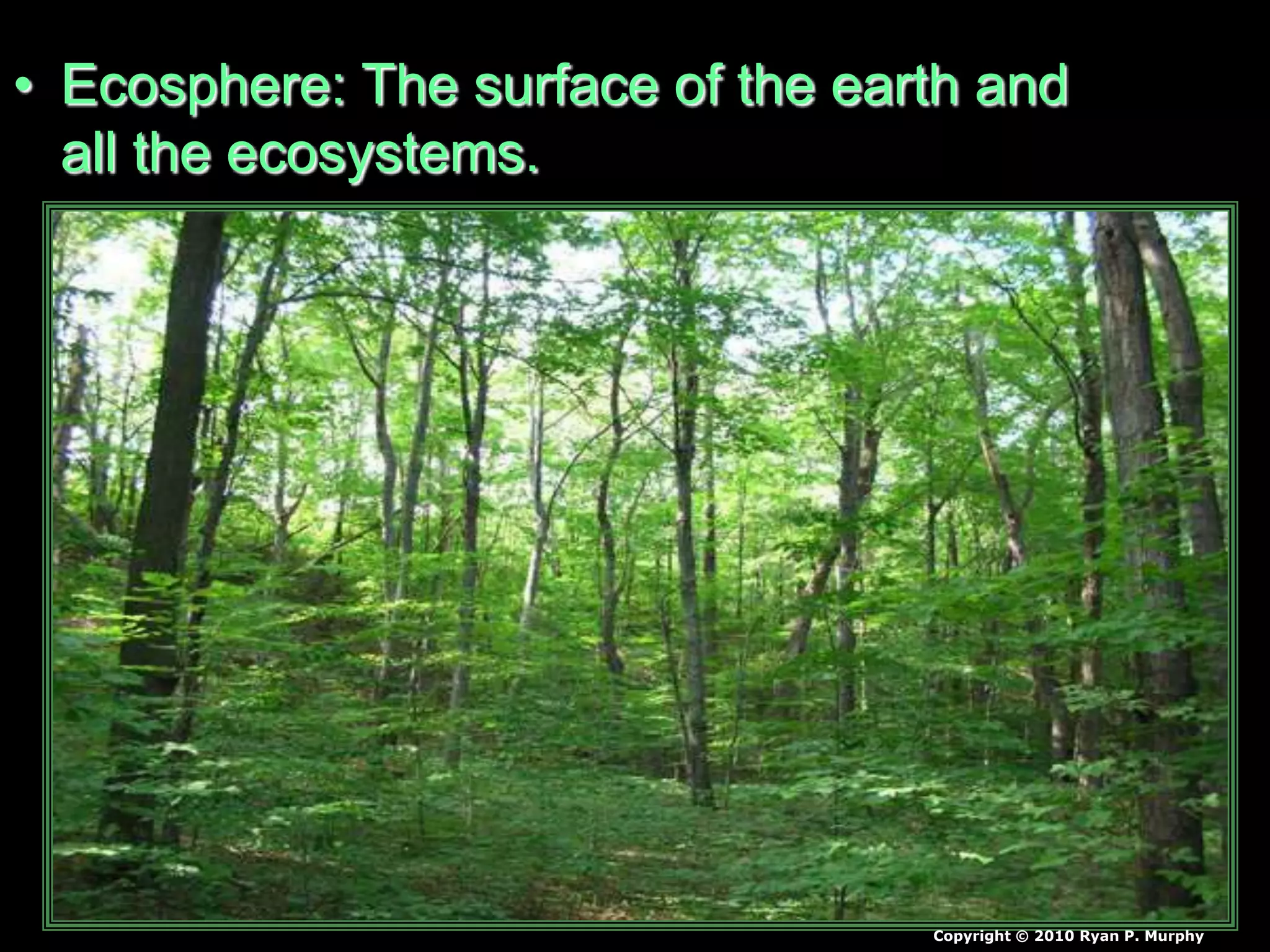 Water Cycle Lesson PowerPoint, Hydrological Cycle, Biogeochemical ...