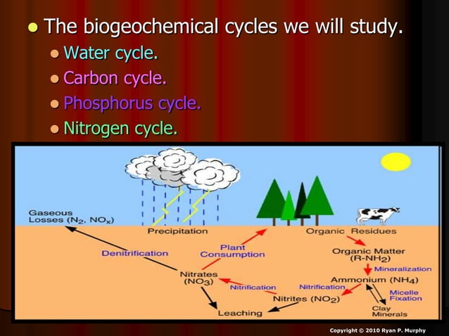 Water Cycle Lesson PowerPoint, Hydrological Cycle, Biogeochemical ...