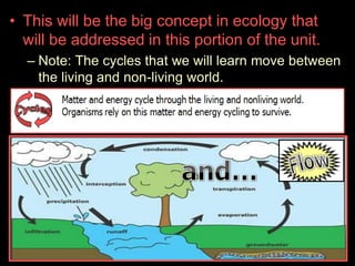 Water Cycle Lesson PowerPoint, Hydrological Cycle, Biogeochemical ...