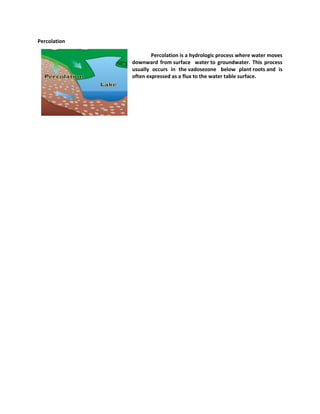 Water cycle | DOCX | Weather | Science