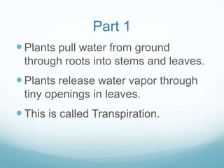 Water cycle | PPTX