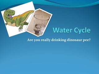 Water cycle - All the steps to the water cycle with a video at the end ...