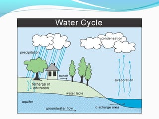 Water cycle - All the steps to the water cycle with a video at the end ...