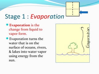 Water cycle - All the steps to the water cycle with a video at the end ...