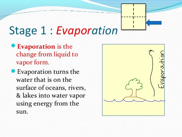 Water cycle - All the steps to the water cycle with a video at the end