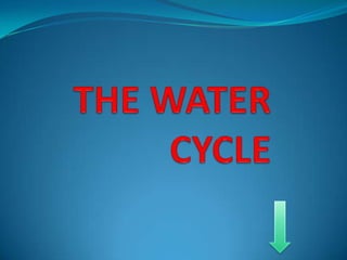 Water cycle | PPTX