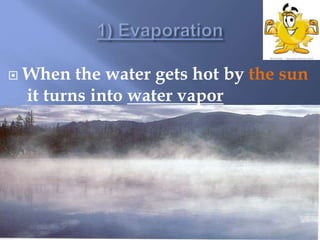 Water cycle | PPTX