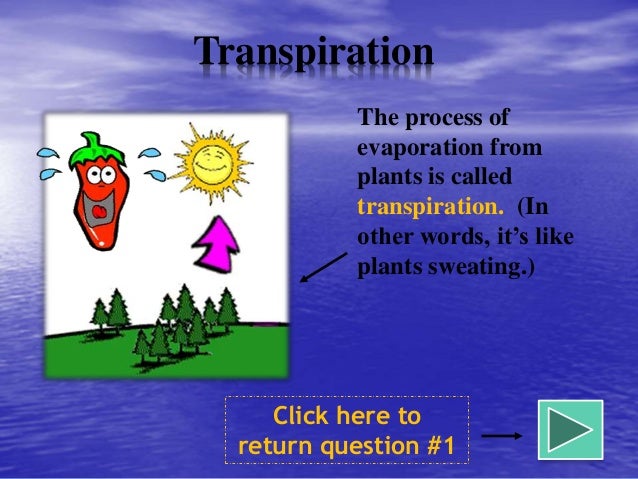 Water Cycle Transpiration Definition
