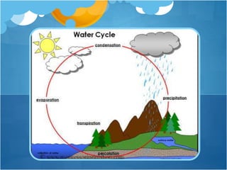 Water cycle | PPTX